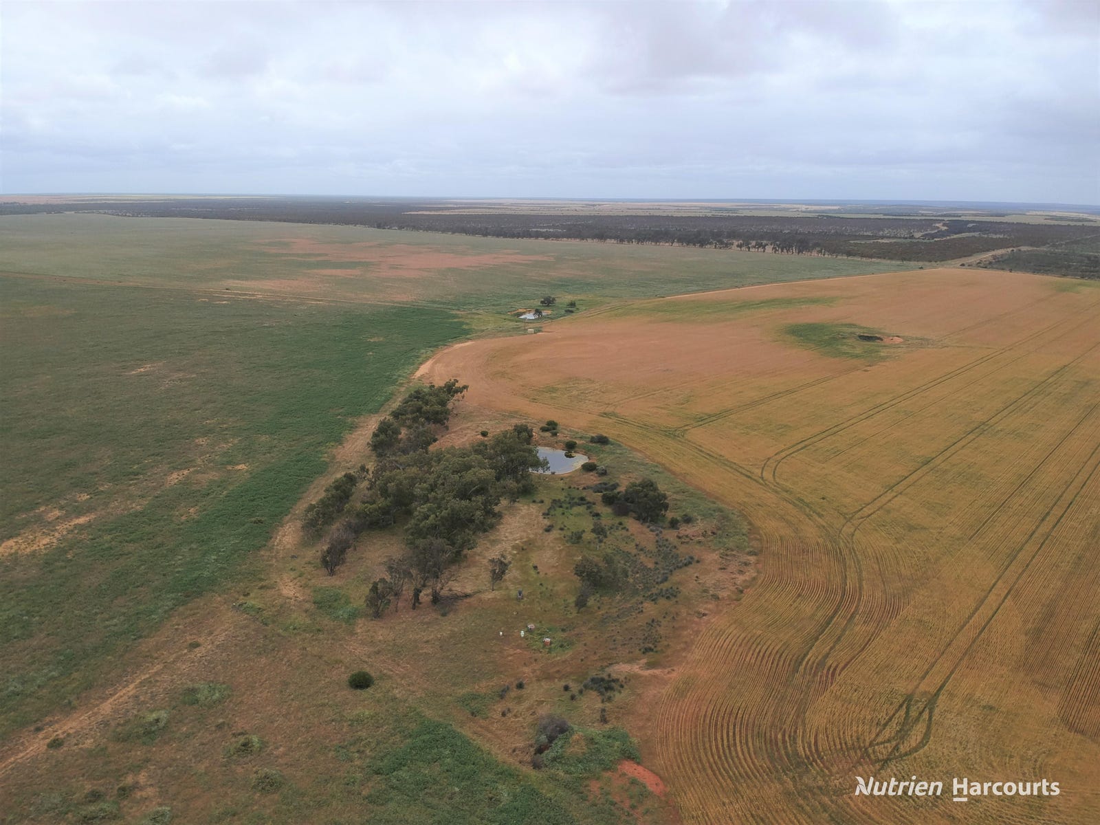 Farm For Sale in West Binnu, WA 6532 | 101 West Binnu Road