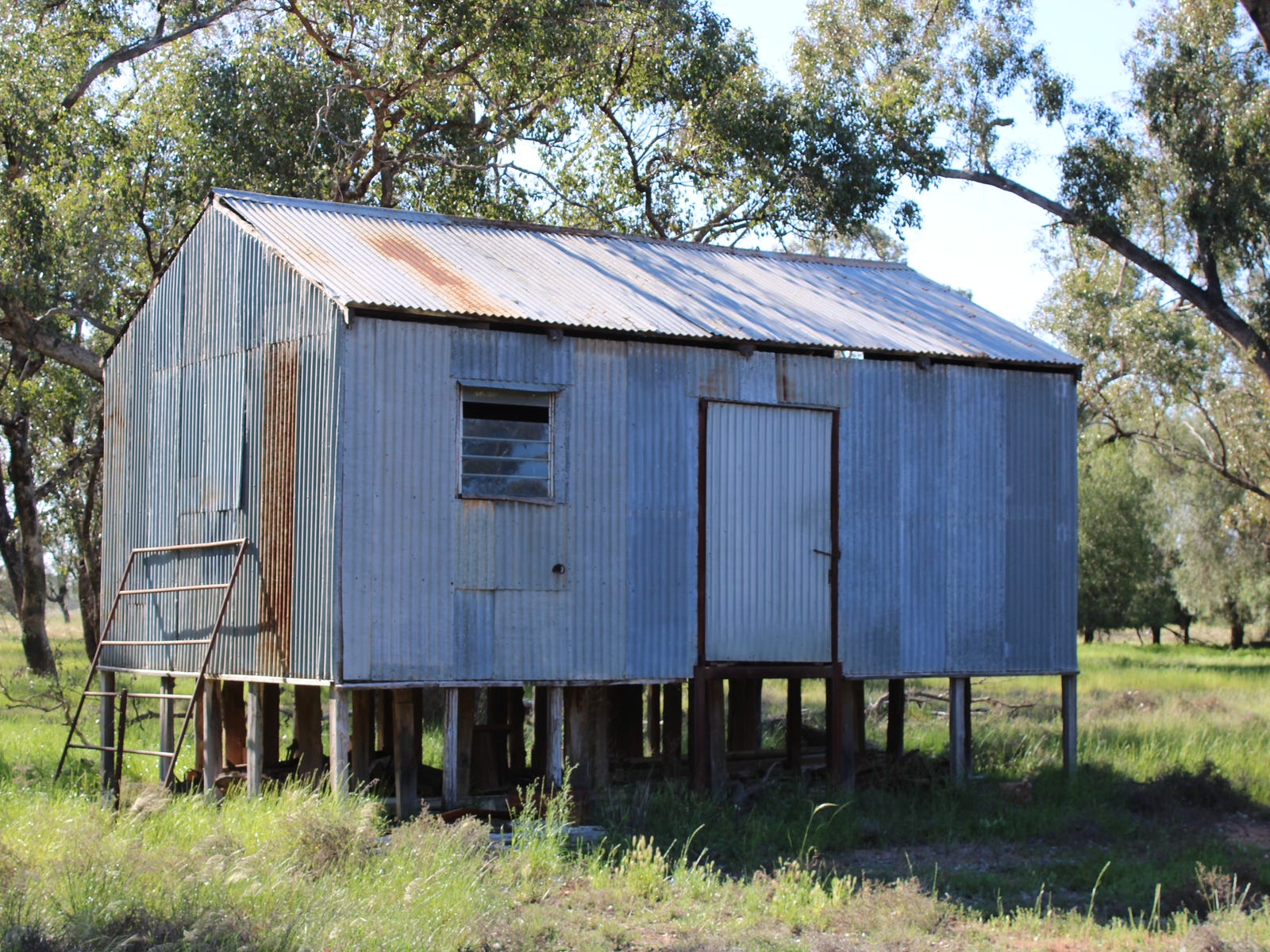 Farm For Sale in Trangie, NSW 2823