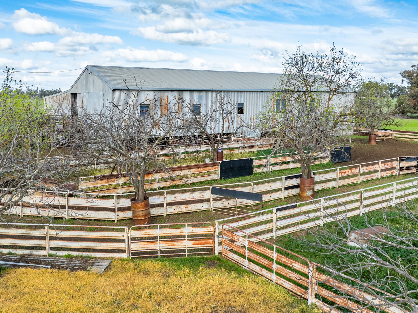 Farm For Sale in Coreen, NSW 2646 | 185 Coreen School Rd