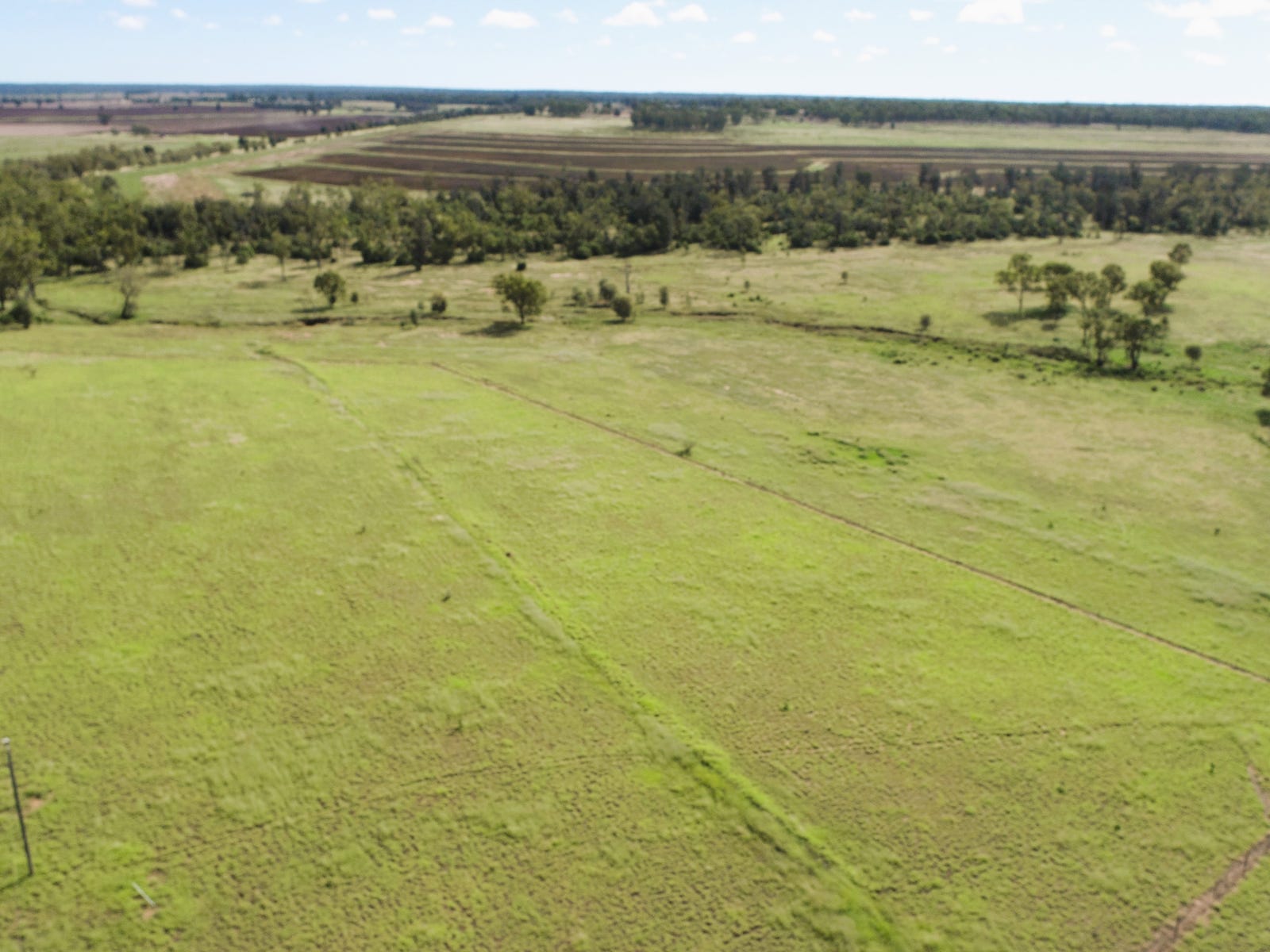 Farm For Sale in Drillham, Qld 4424 | 860 Coates Road "mt Myrtle"