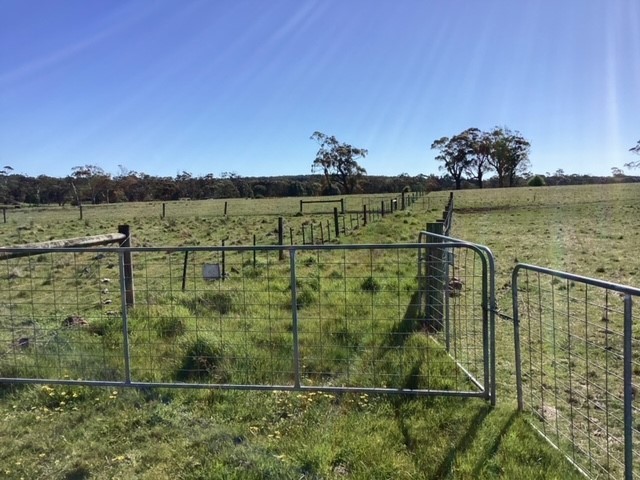 Farm For Sale in Springmount, Vic 3364 | 250 Sawmill Road