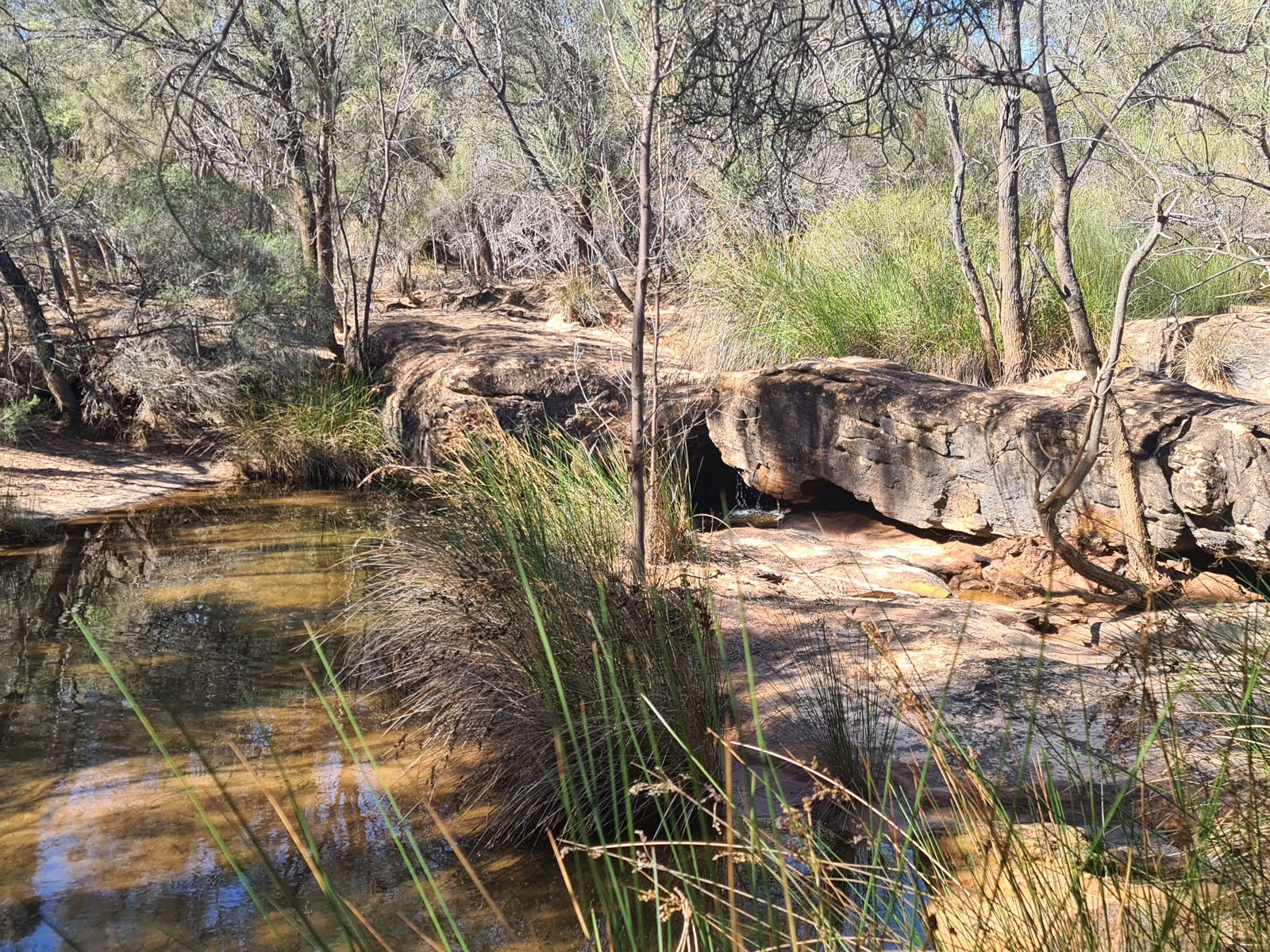 Farm For Sale in Yallabatharra, WA 6535 | 37 Yallabatharra Road