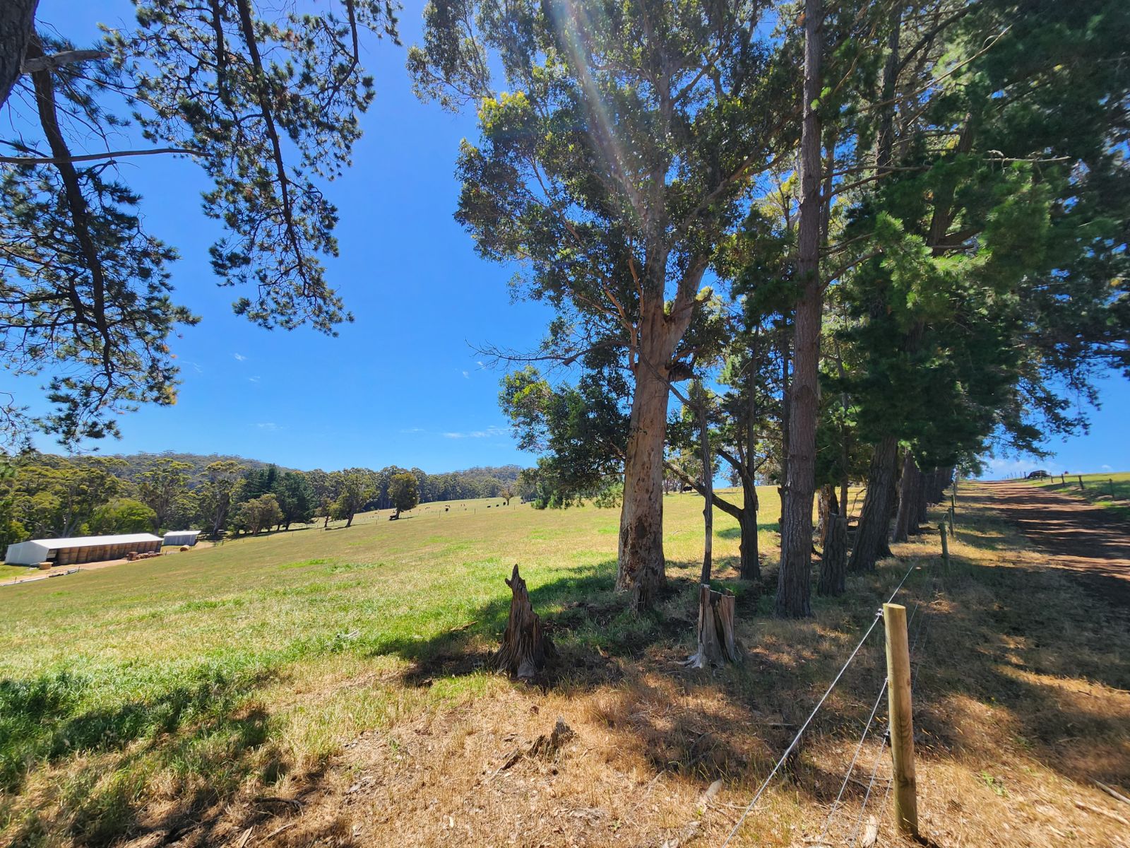 Farm For Sale in North Walpole, WA 6398 | 281 Bridge Road