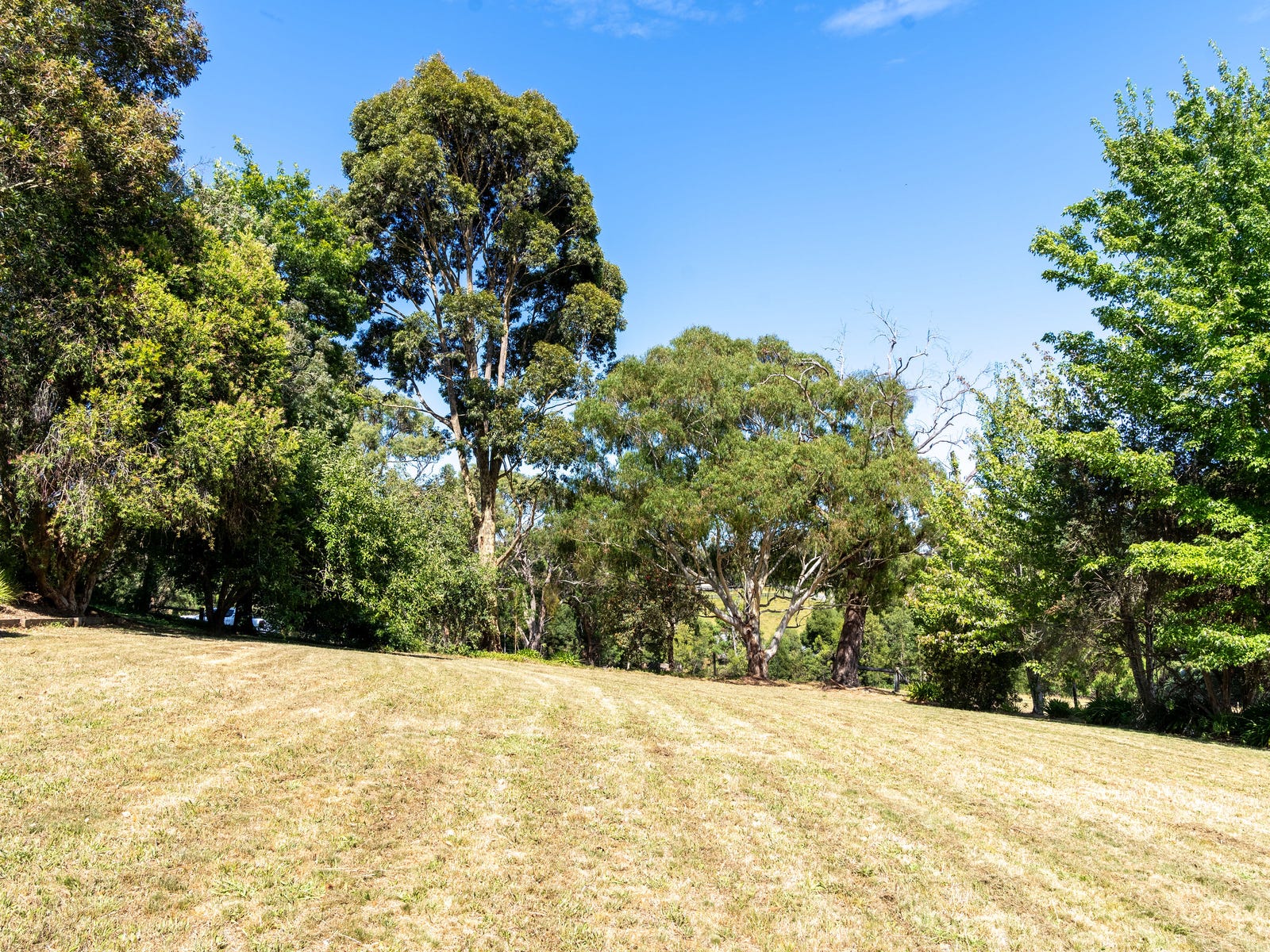 Farm For Sale in Yellingbo, Vic 3139 | 365 Beenak Road