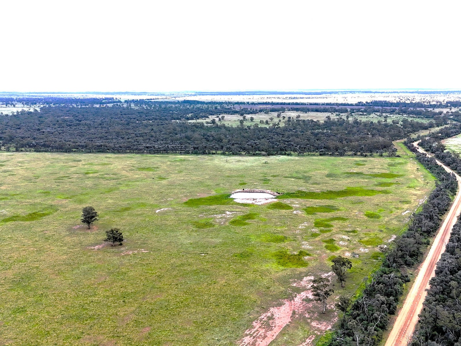 Farm For Sale in Wee Waa, NSW 2388 | 1857 Stumpy Lane