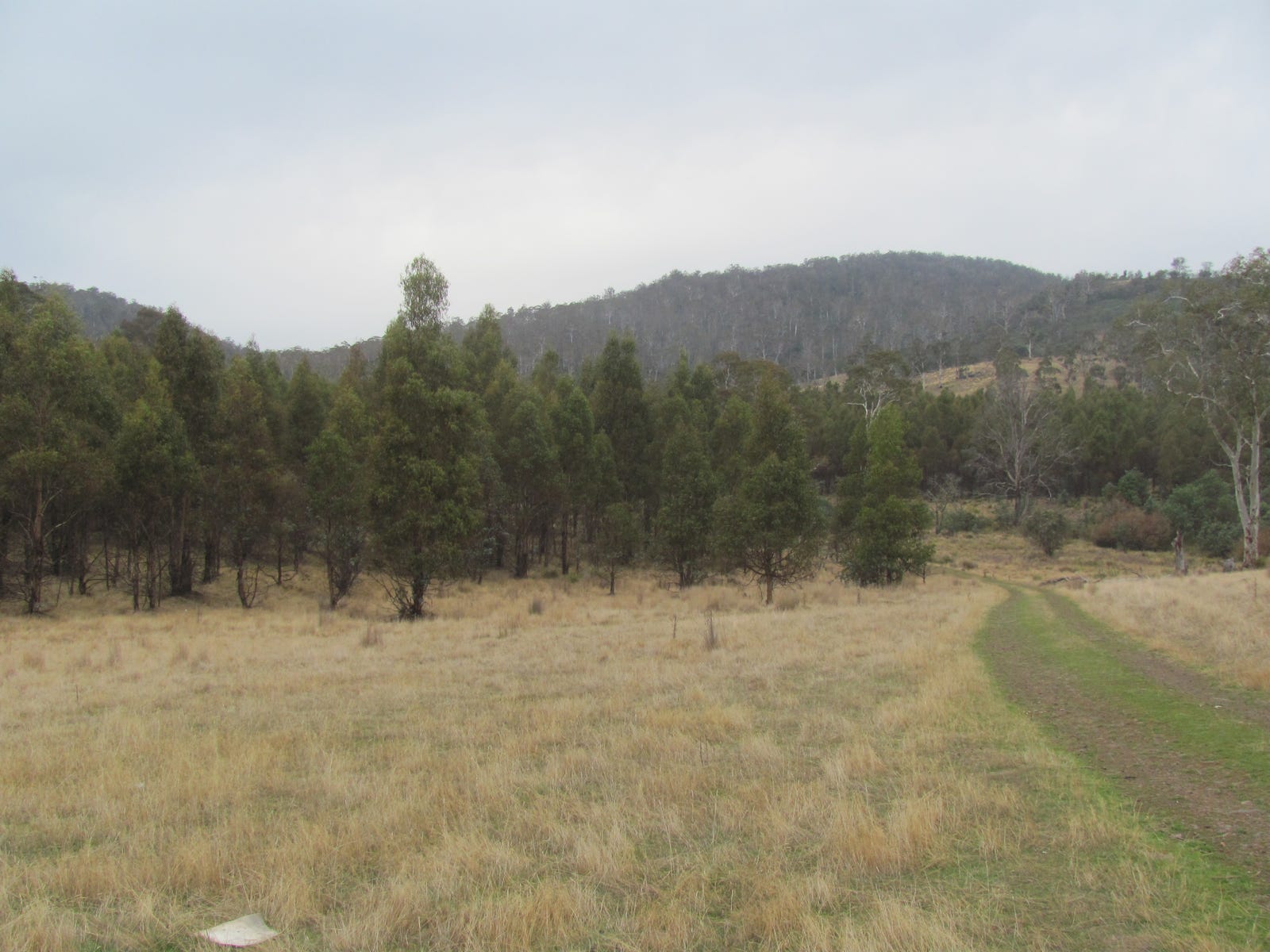 Farm For Sale in Bothwell, Tas 7030 | "trap Hut" Meadsfield Road