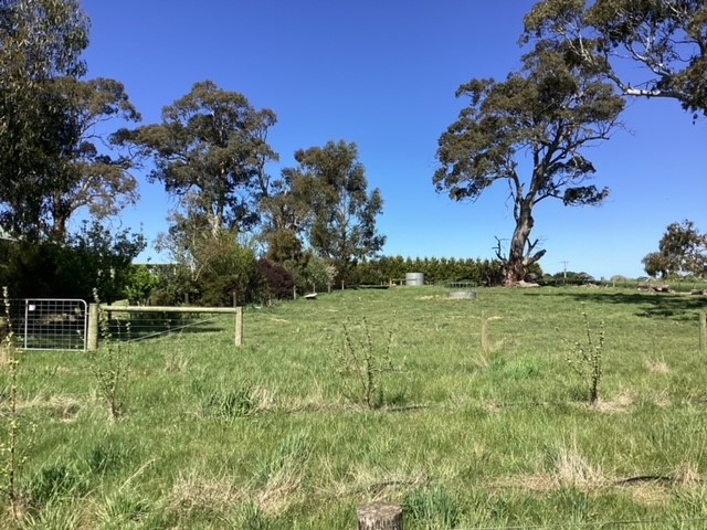 Farm For Sale in Springmount, Vic 3364 | 250 Sawmill Road