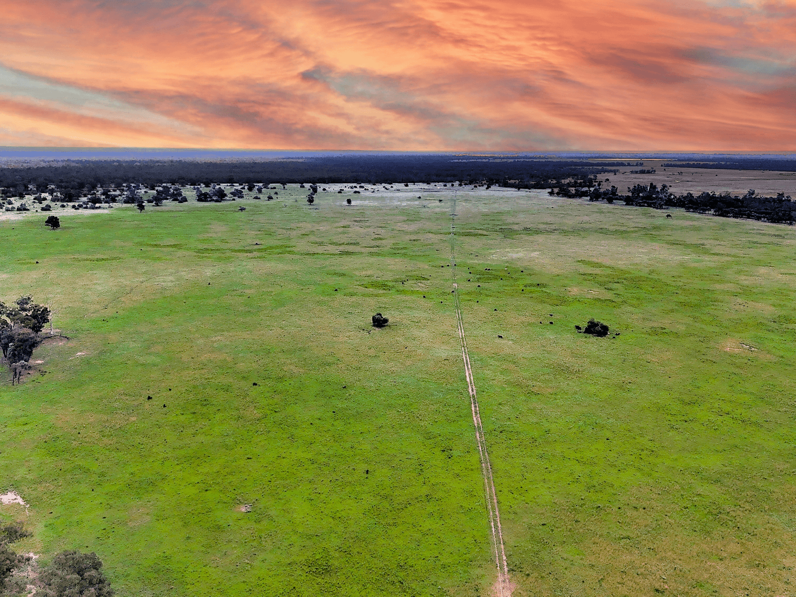 Farm For Sale in Wee Waa, NSW 2388 | 1857 Stumpy Lane