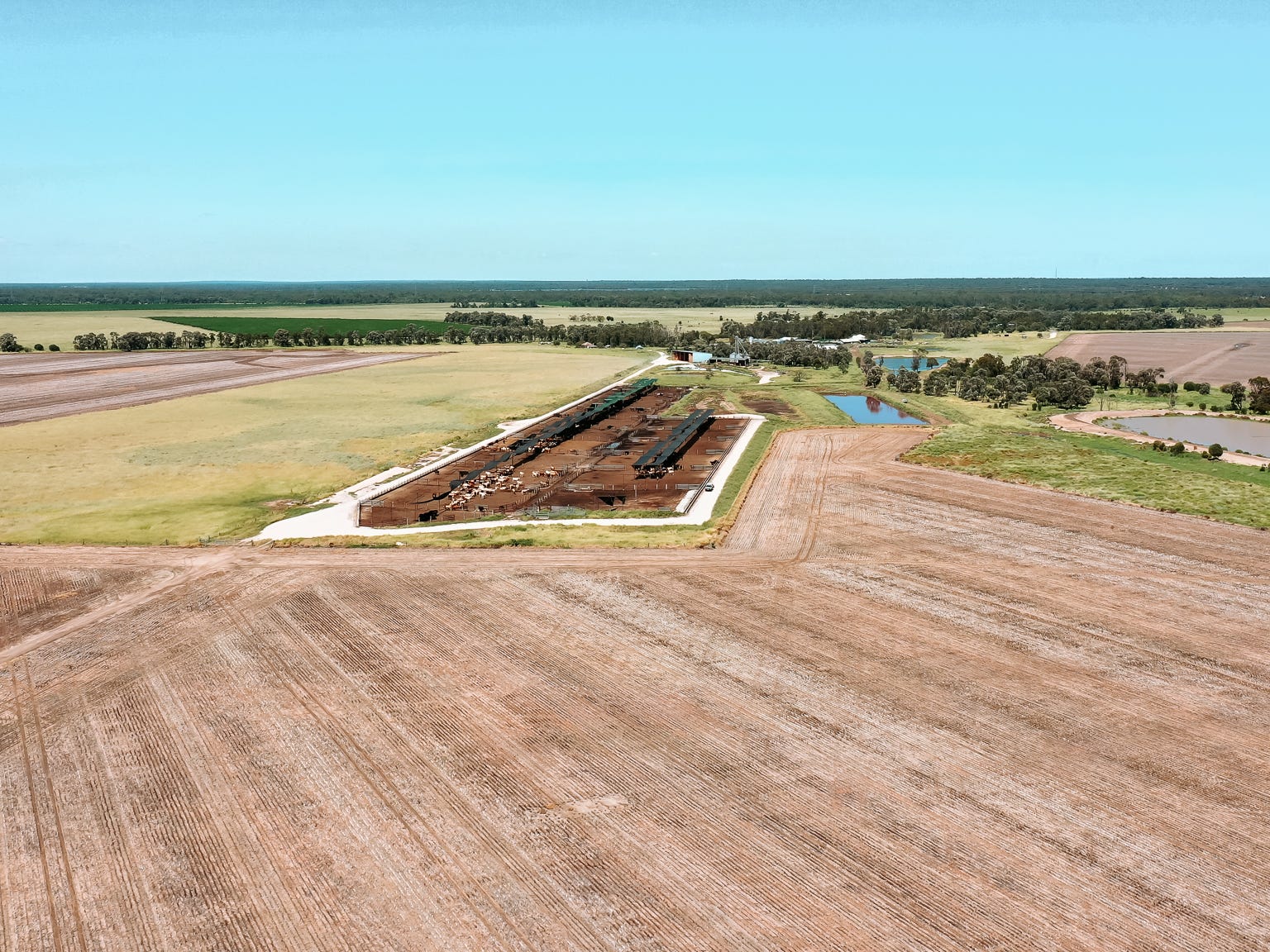 Farm For Sale in Hopeland, Qld 4413 | 303 Fletts Road