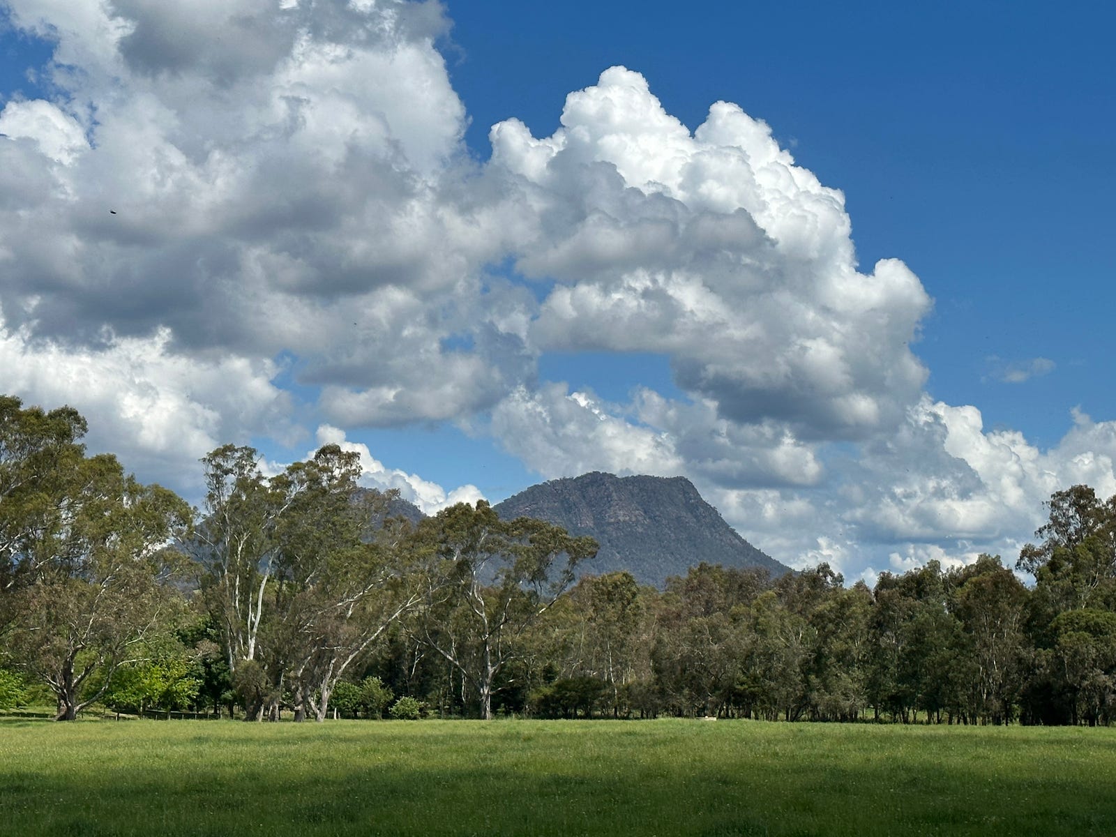 Farm For Sale in Taggerty, Vic 3714 | 175 Taggerty - Thornton Road