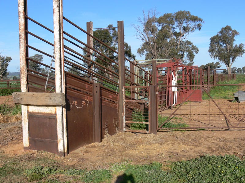 Farm For Sale in Billimari, NSW 2804 | 413 Merriganowry Road