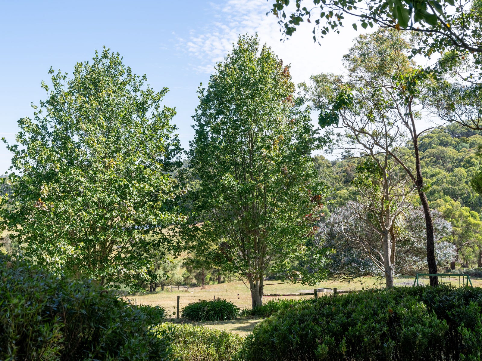 Farm For Sale in Yellingbo, Vic 3139 | 365 Beenak Road