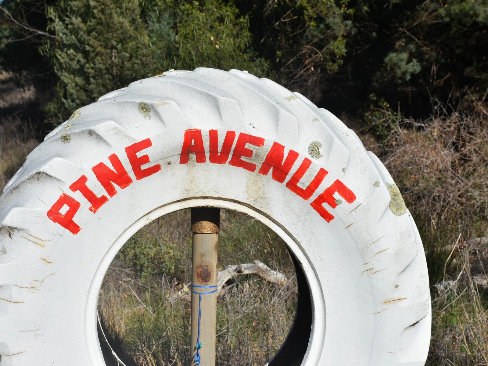 Farm For Sale in Gunningbland, NSW 2876