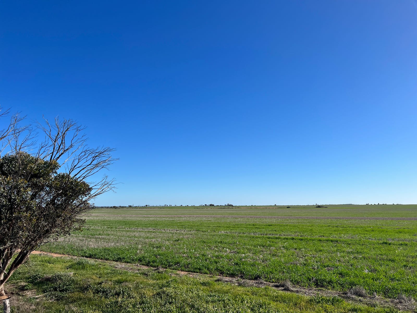 Farm For Sale in Pingrup, WA 6343 | 1345 Pingrup-lake Grace Road