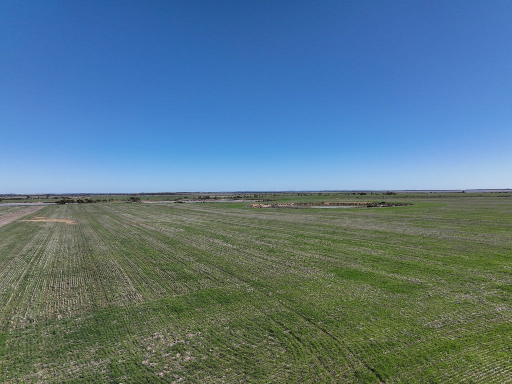 Farm For Sale in Pingrup, WA 6343 | 1345 Pingrup-lake Grace Road