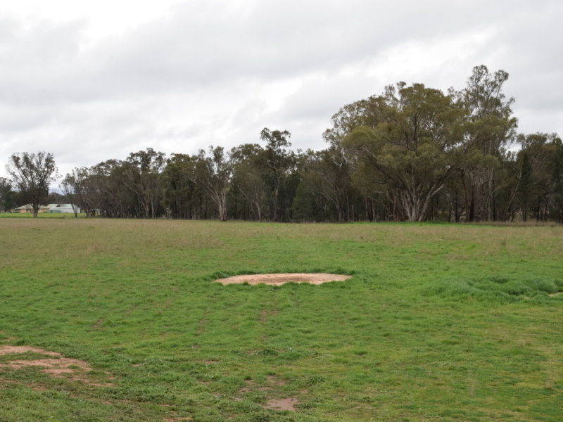 Farm For Sale in Ballimore, NSW 2830 | 'pineleigh' 130r Goan Creek Road
