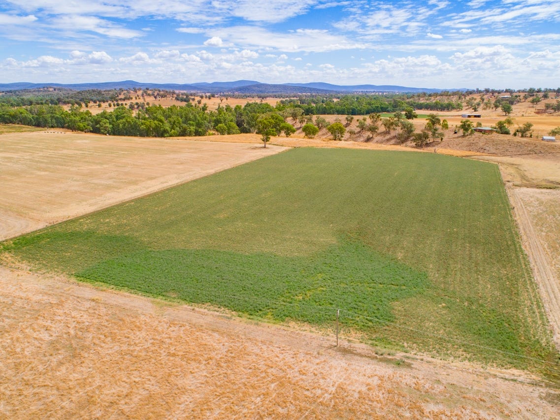 Farm For Sale in Billimari, NSW 2804 | 'bayview' Windowrie Road