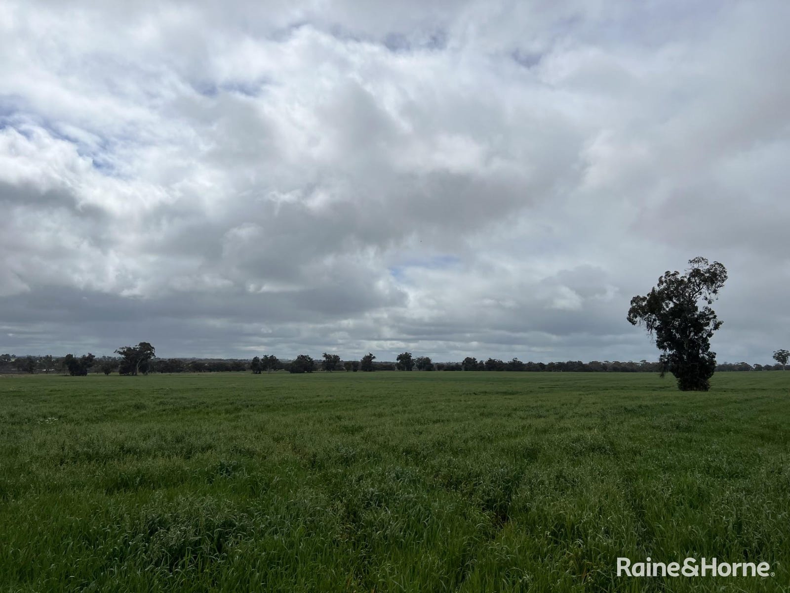 Farm For Sale in Highbury, WA 6313 | 124 Highbury East Road