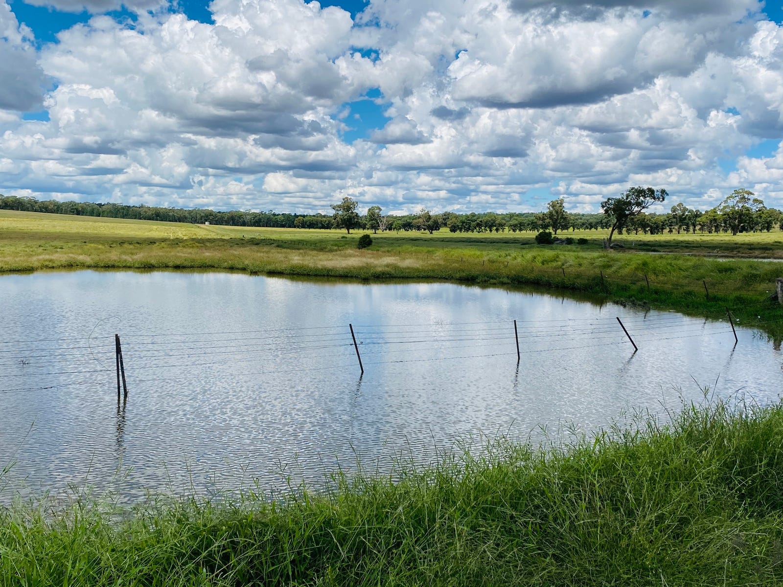 Farm For Sale in Caroona, NSW 2343 | Doonavale Walhallow Road