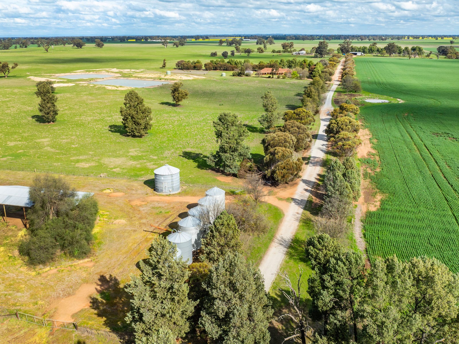 Farm For Sale in Coreen, NSW 2646 | 185 Coreen School Rd