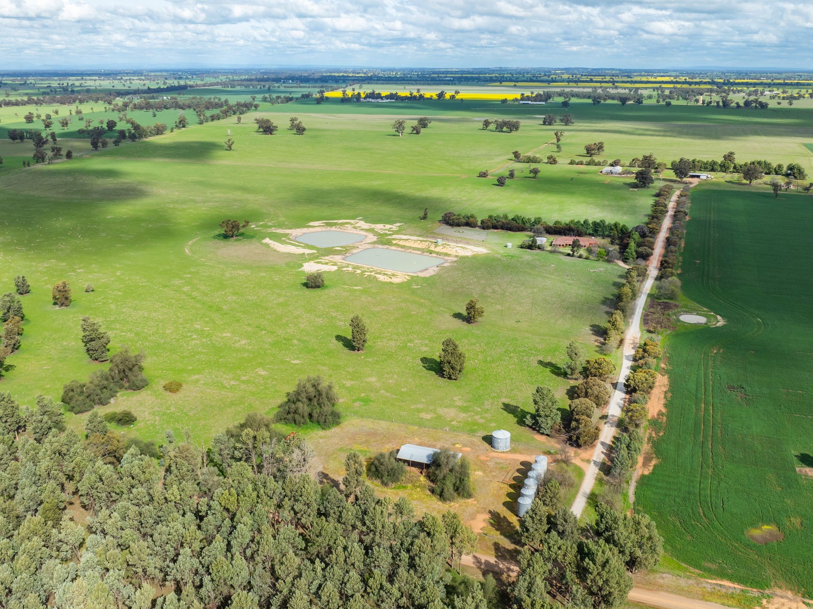 Farm For Sale in Coreen, NSW 2646 | 185 Coreen School Rd