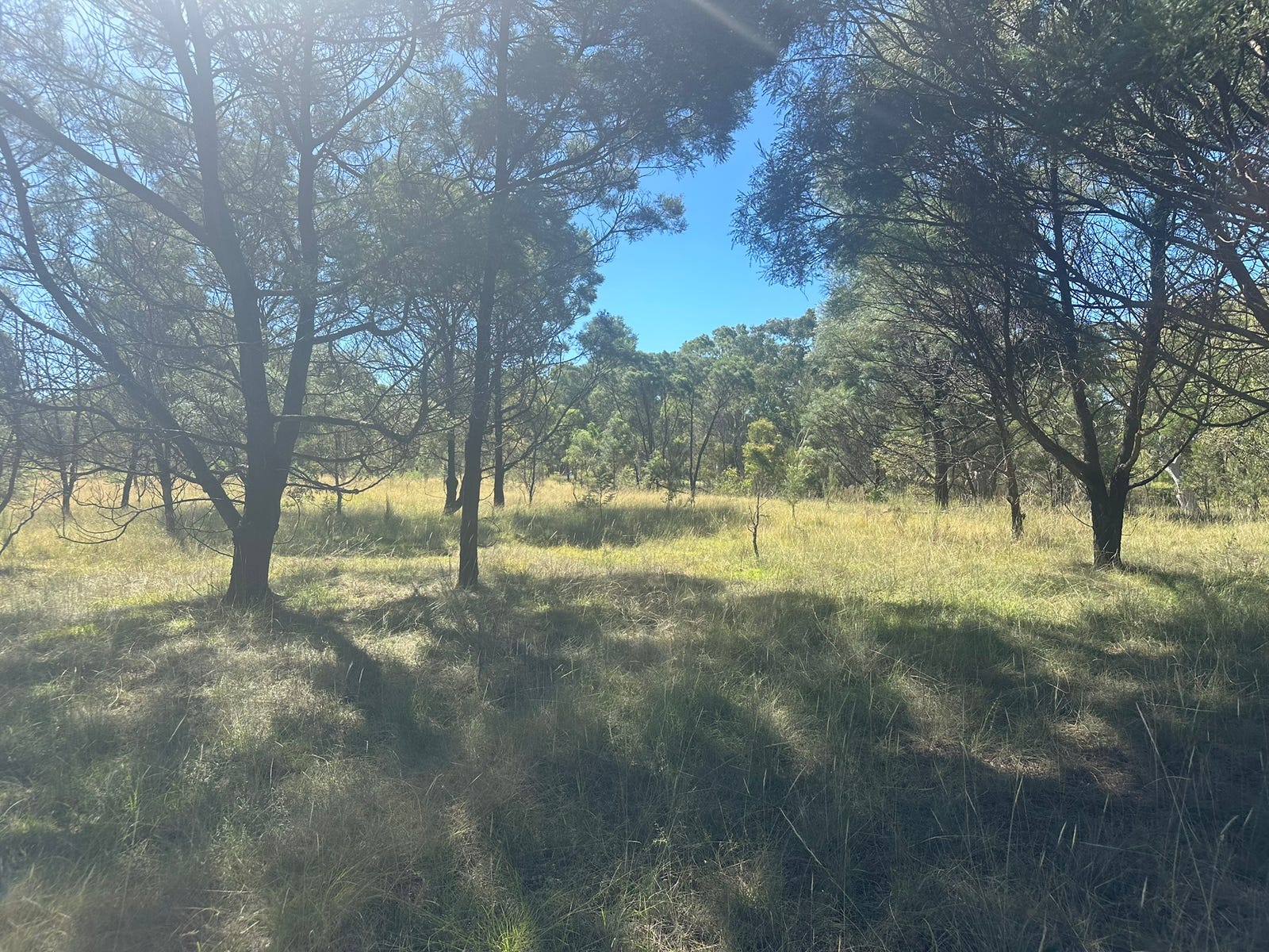 Farm For Sale in Braidwood, NSW 2622 | 2/371 Mayfield Road