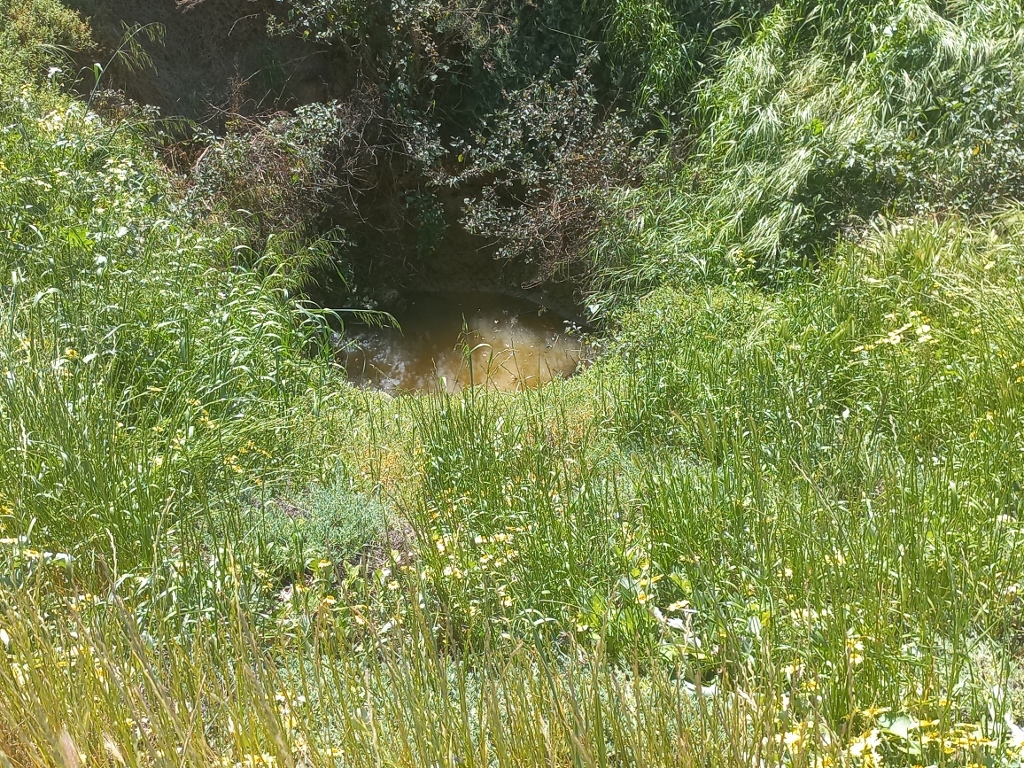 Farm For Sale in Latham, WA 6616 | 998 Watson Road