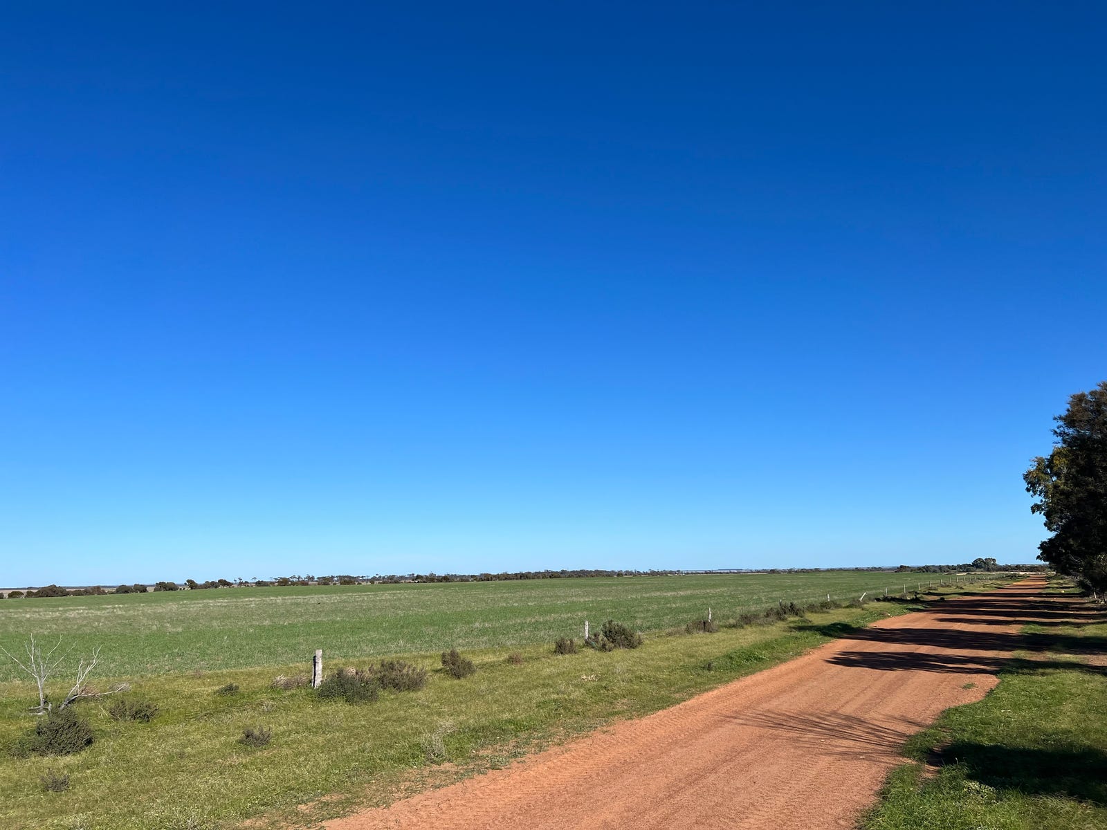 Farm For Sale in Pingrup, WA 6343 | 1345 Pingrup-lake Grace Road