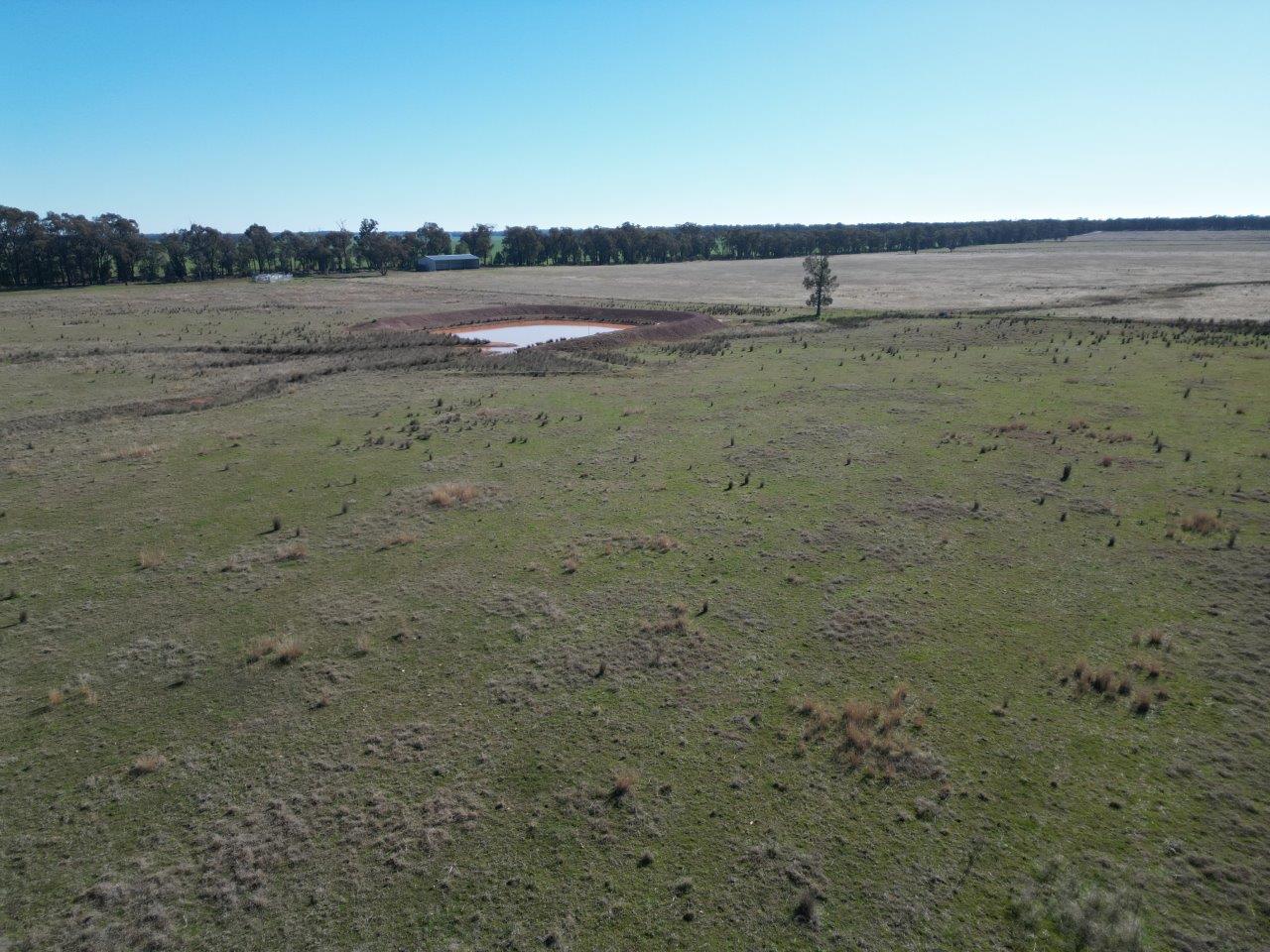 Farm For Sale in Temora, NSW 2666 | 'wildwood' 977 Schmidts Road