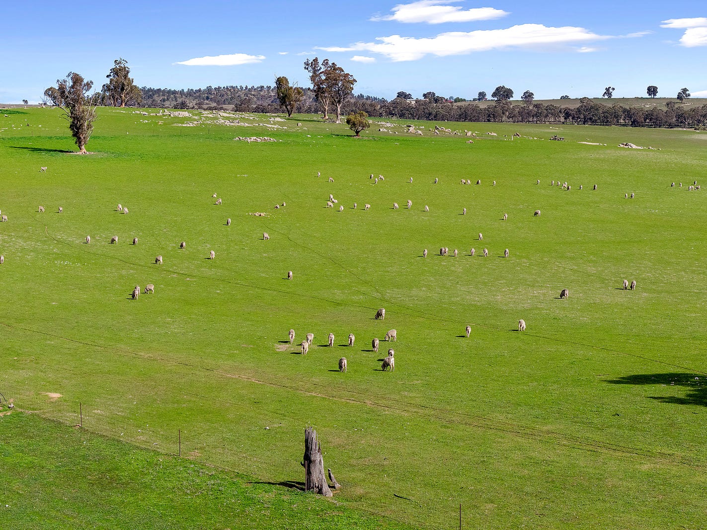 Farm For Sale in Baringhup, Vic 3463