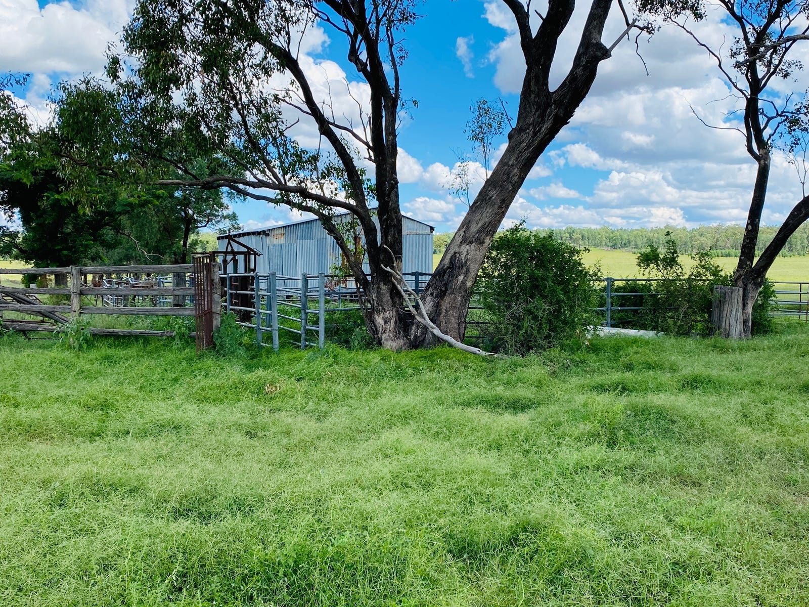 Farm For Sale in Caroona, NSW 2343 | Doonavale Walhallow Road