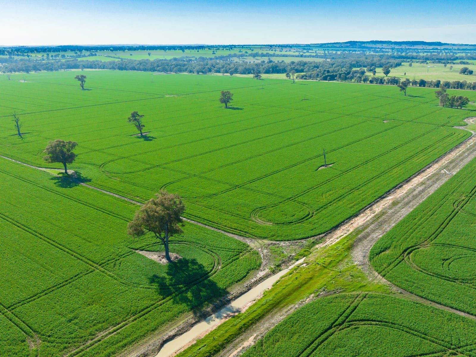Farm For Sale in Rand, NSW 2642 | "ronavis", Trigg Road