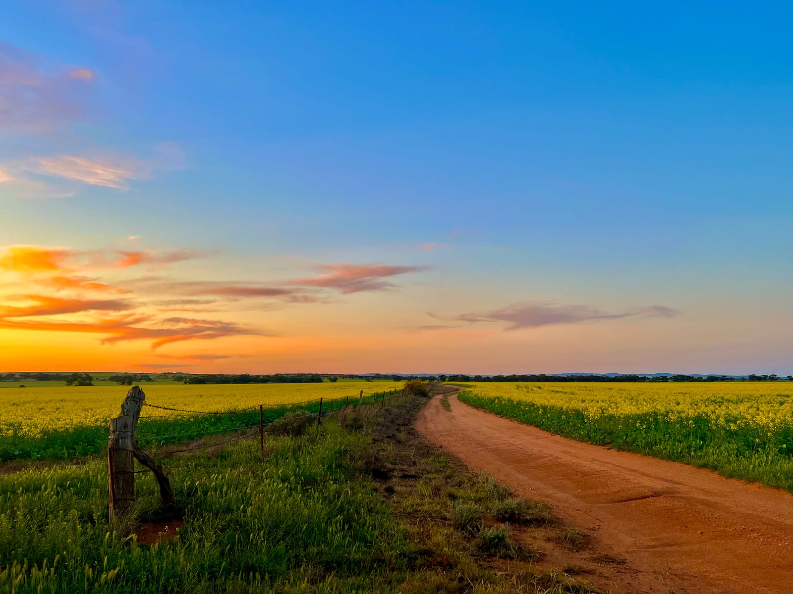 Farm For Sale in Kimba, SA 5641 | 799 Eyre Highway Kimba