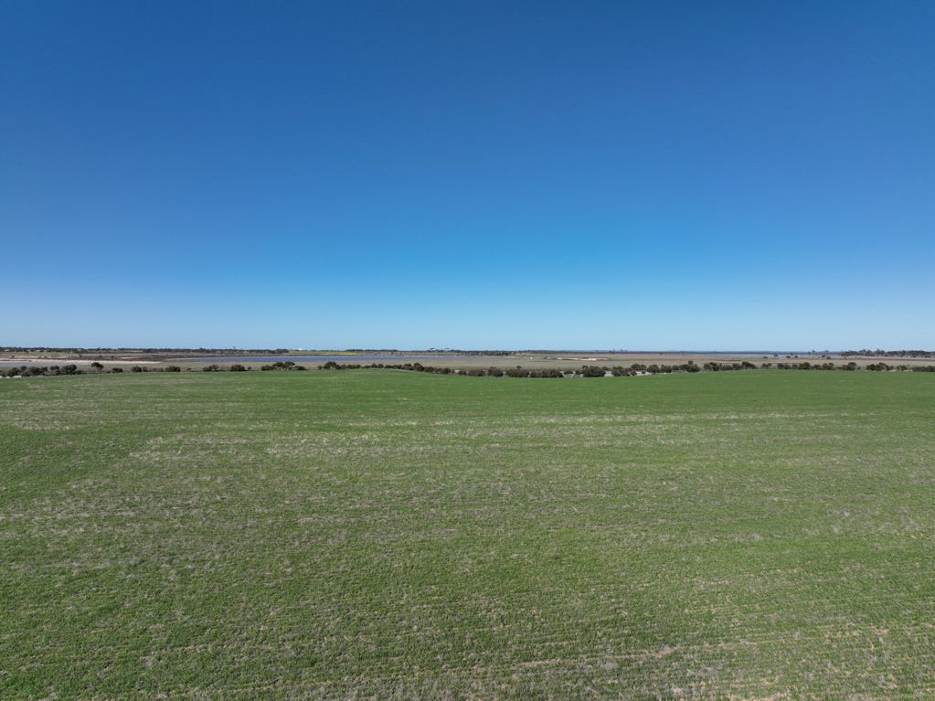 Farm For Sale in Pingrup, WA 6343 | 1345 Pingrup-lake Grace Road