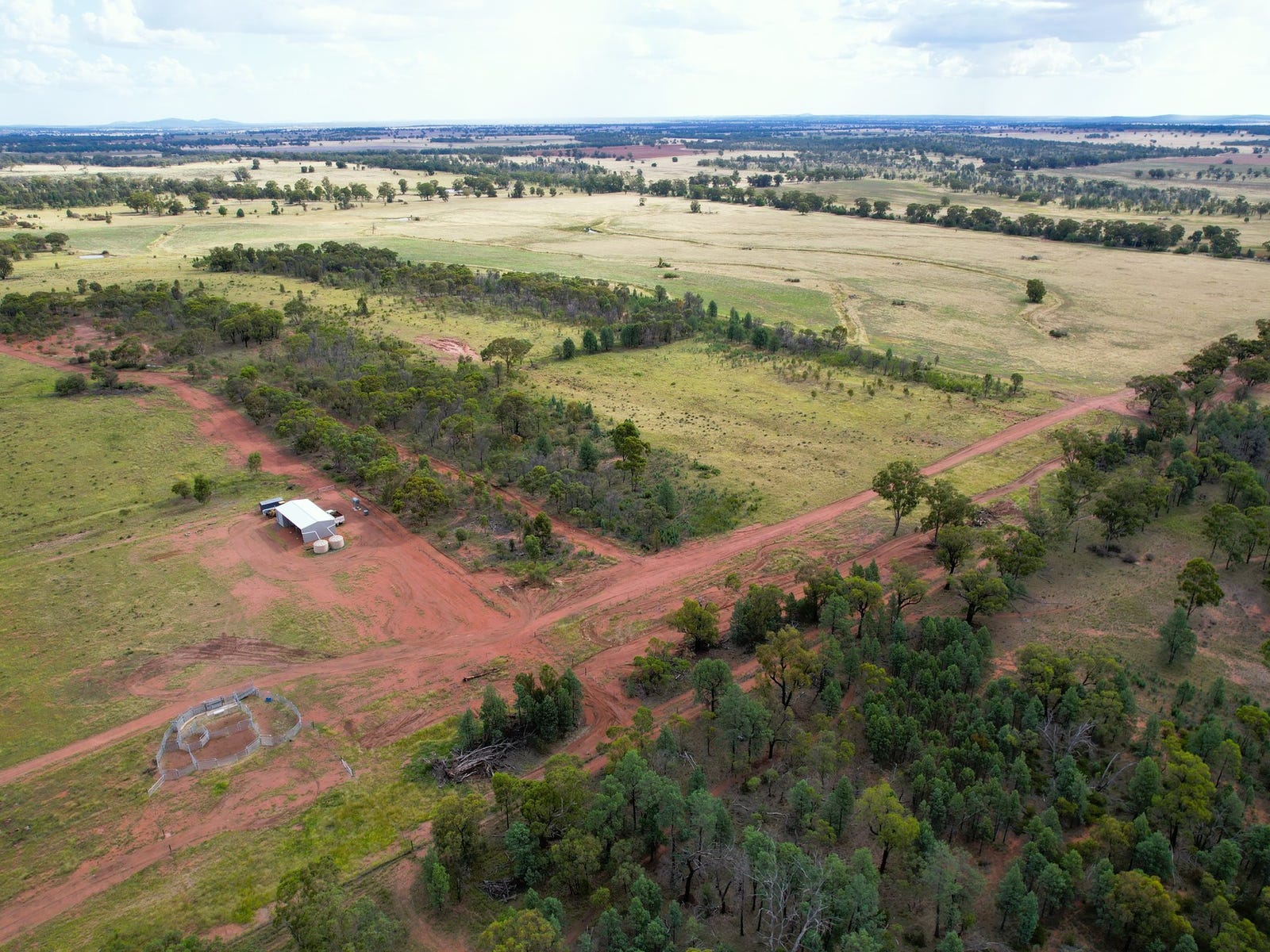 Farm For Sale in Trundle, NSW 2875 | 151 Numalla Road