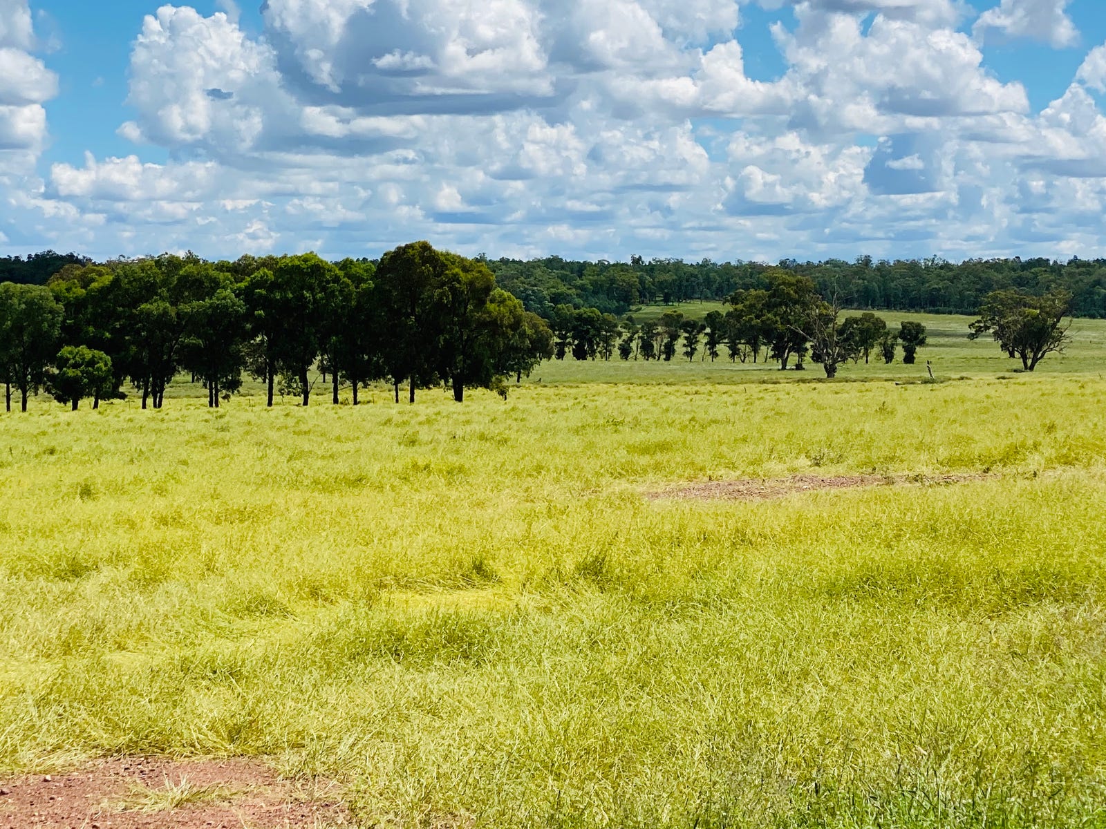 Farm For Sale in Caroona, NSW 2343 | Doonavale Walhallow Road