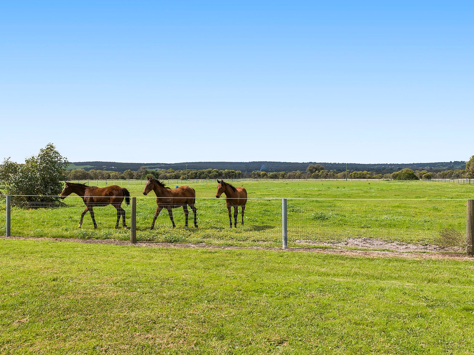 Farm For Sale in Bullsbrook, WA 6084 | 24 Gaston Road
