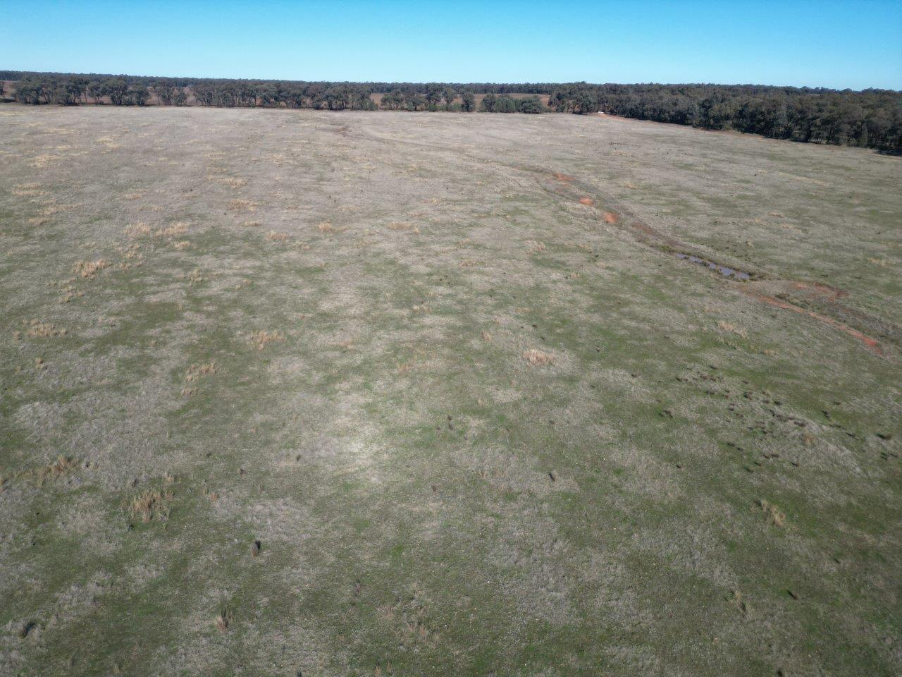 Farm For Sale in Temora, NSW 2666 | 'wildwood' 977 Schmidts Road