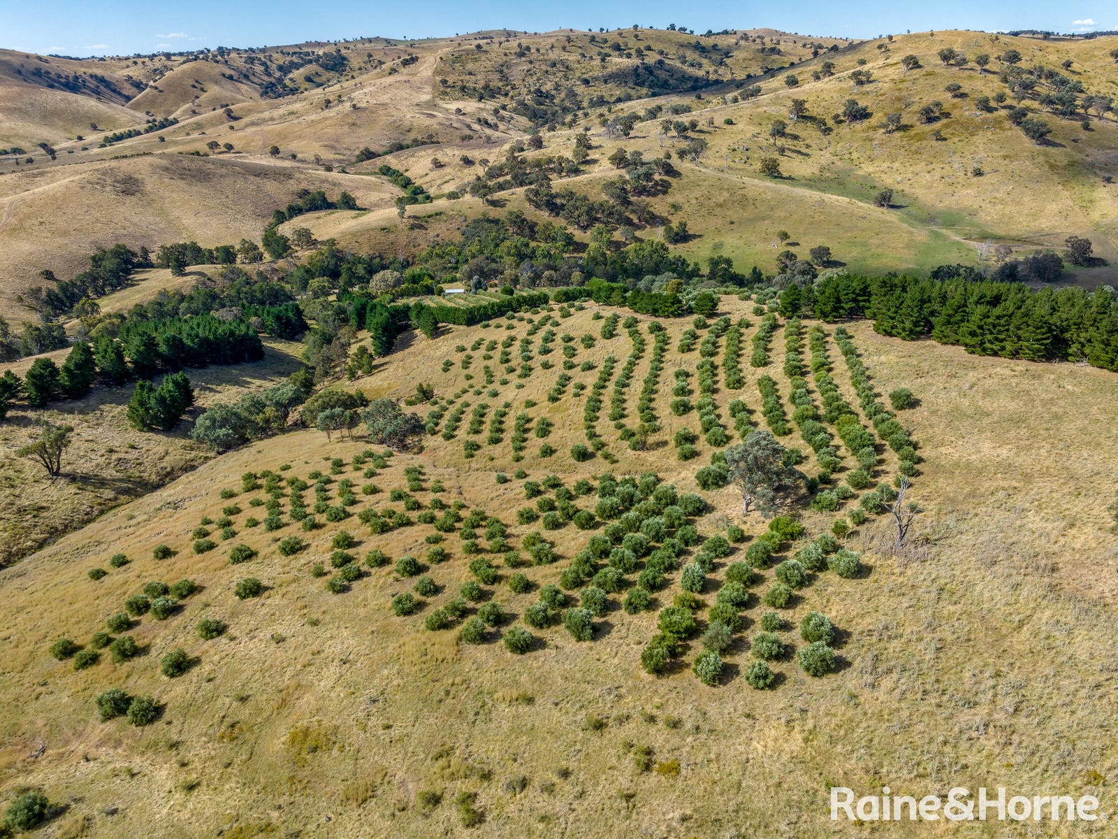 Farm For Sale in Crookwell, NSW 2583 | 1302 Fish River Road Narrawa Via