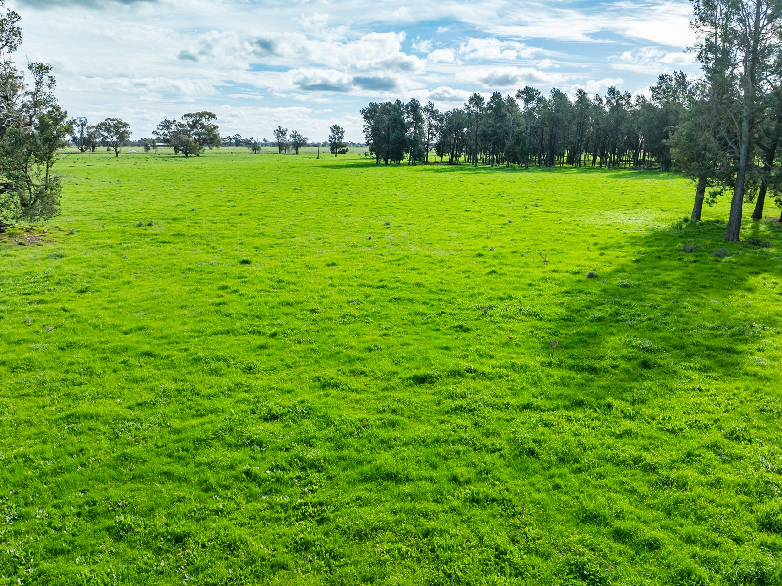 Farm For Sale in Coreen, NSW 2646 | 185 Coreen School Rd