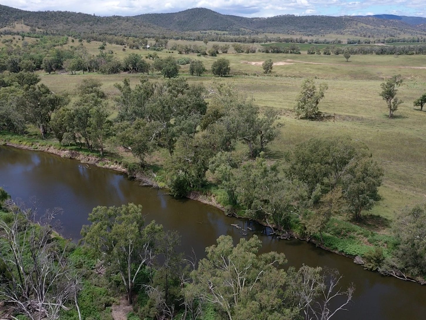 Farm For Sale in Texas, Qld 4385 | "needham Park"