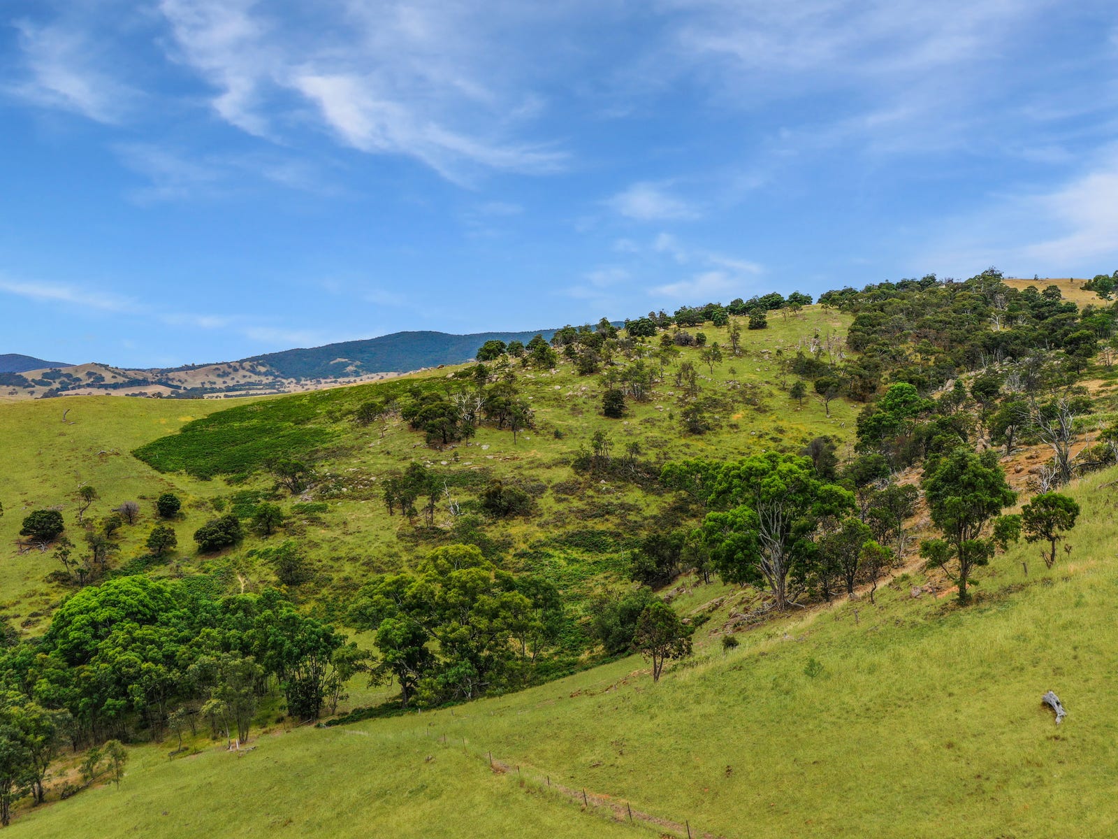 Farm For Sale in Elmhurst, Vic 3469