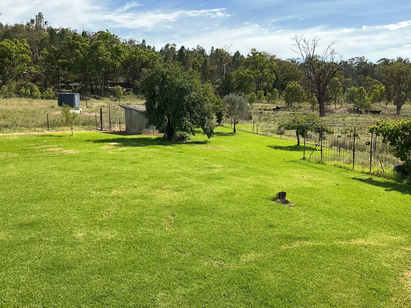 Farm For Sale in Binnaway, NSW 2395 | 4436 Warrumbungles Way