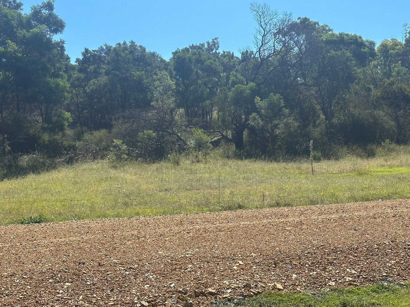 Farm For Sale in Braidwood, NSW 2622 | 2/371 Mayfield Road