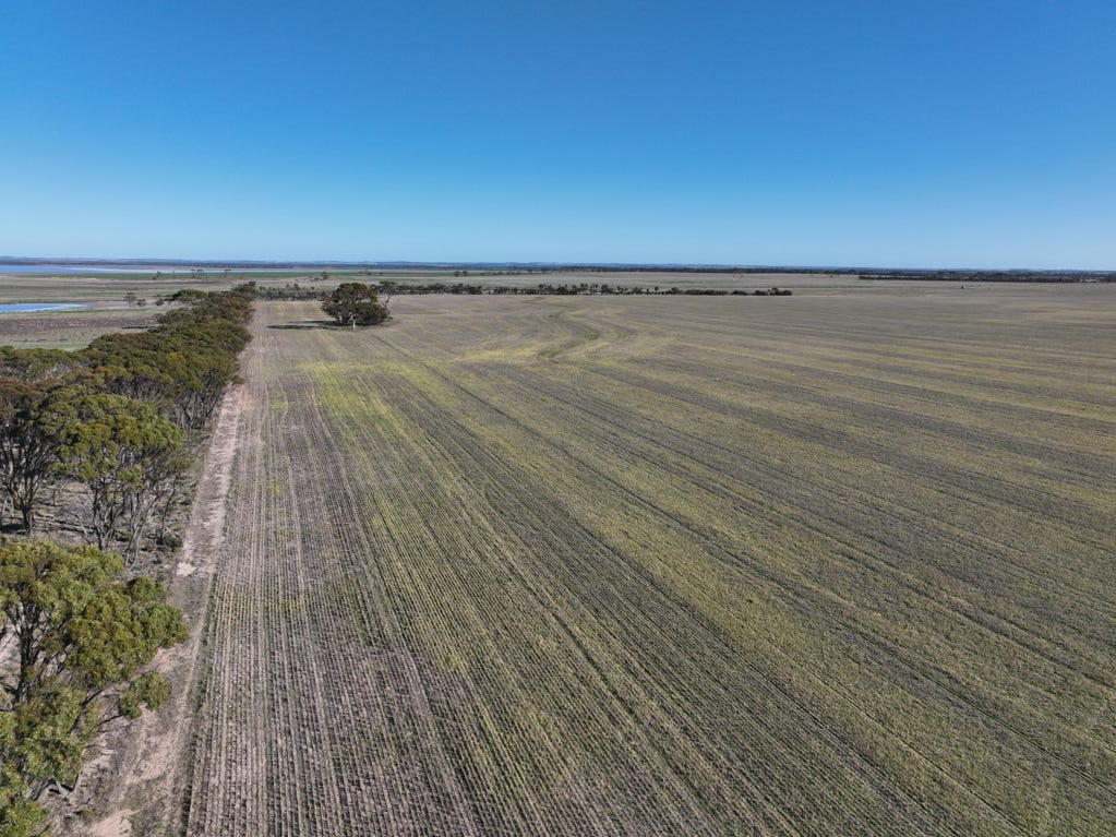Farm For Sale in Pingrup, WA 6343 | 1345 Pingrup-lake Grace Road