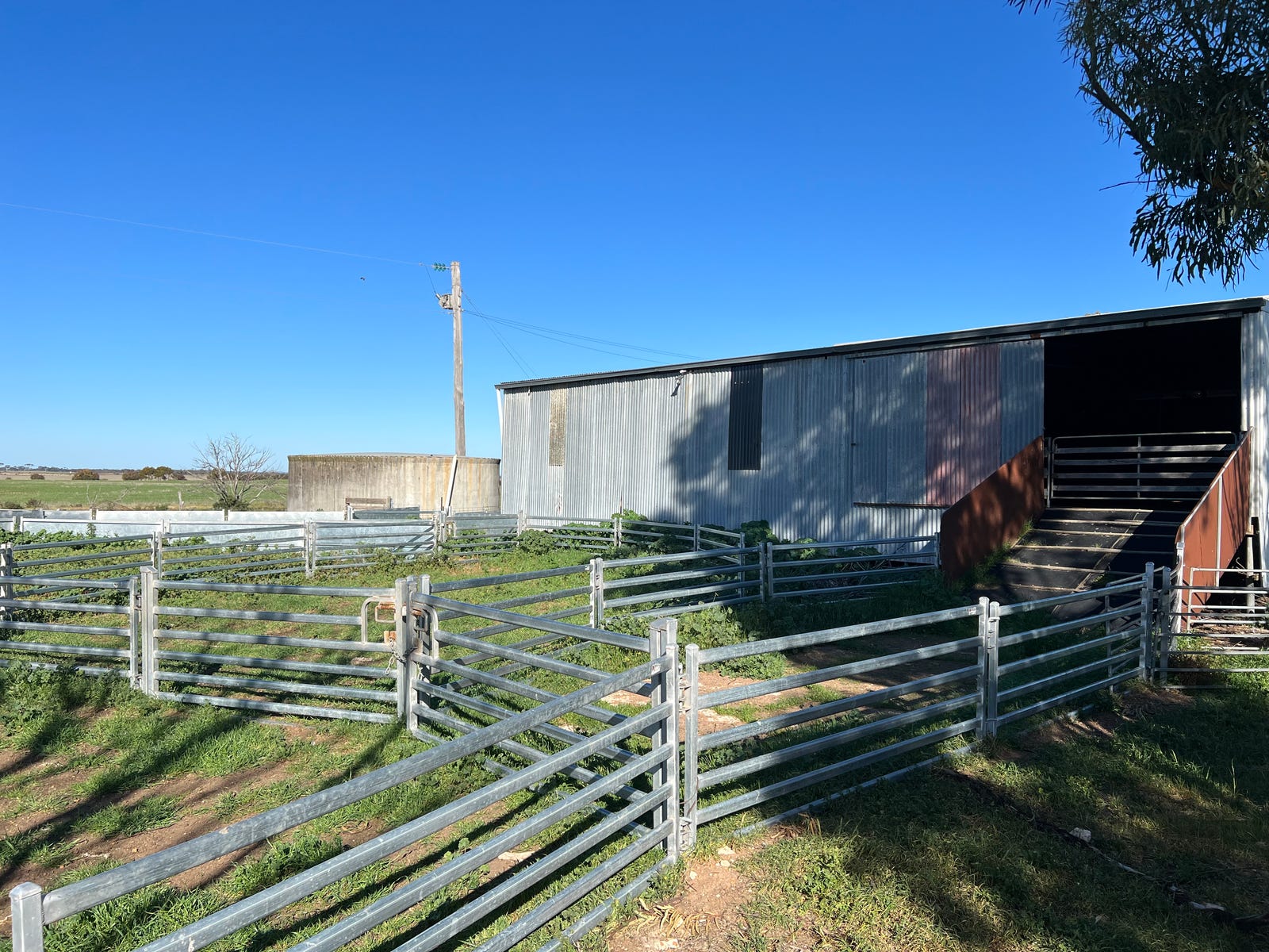 Farm For Sale in Pingrup, WA 6343 | 1345 Pingrup-lake Grace Road