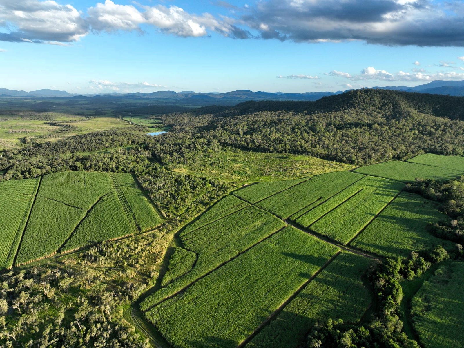 Farm For Sale in Pindi Pindi, Qld 4798