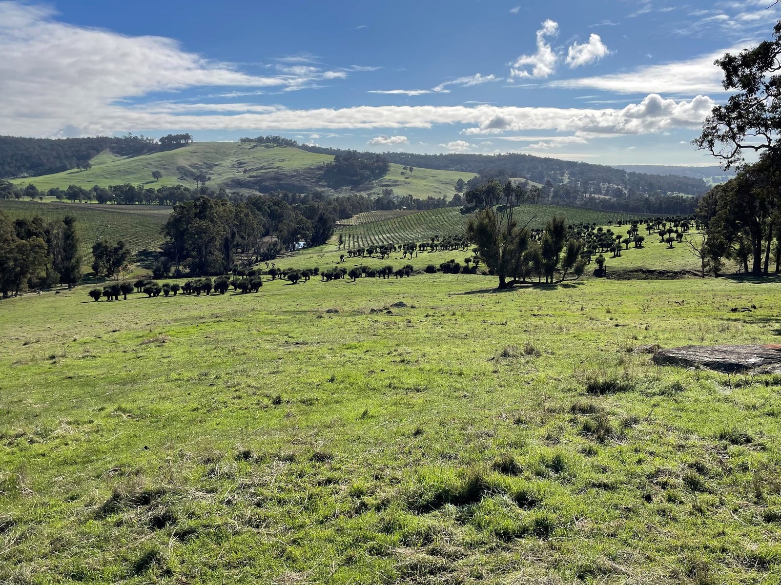 Farm For Sale in Yabberup, WA 6239 | Lot 2062 Chapman Road