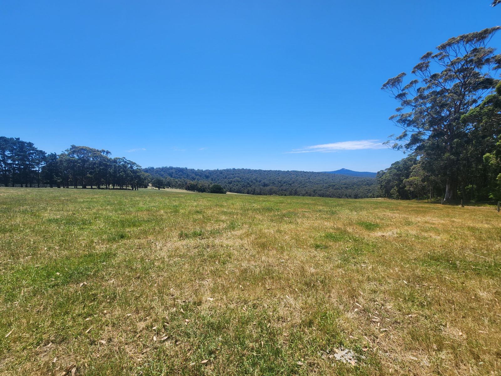 Farm For Sale in North Walpole, WA 6398 | 281 Bridge Road