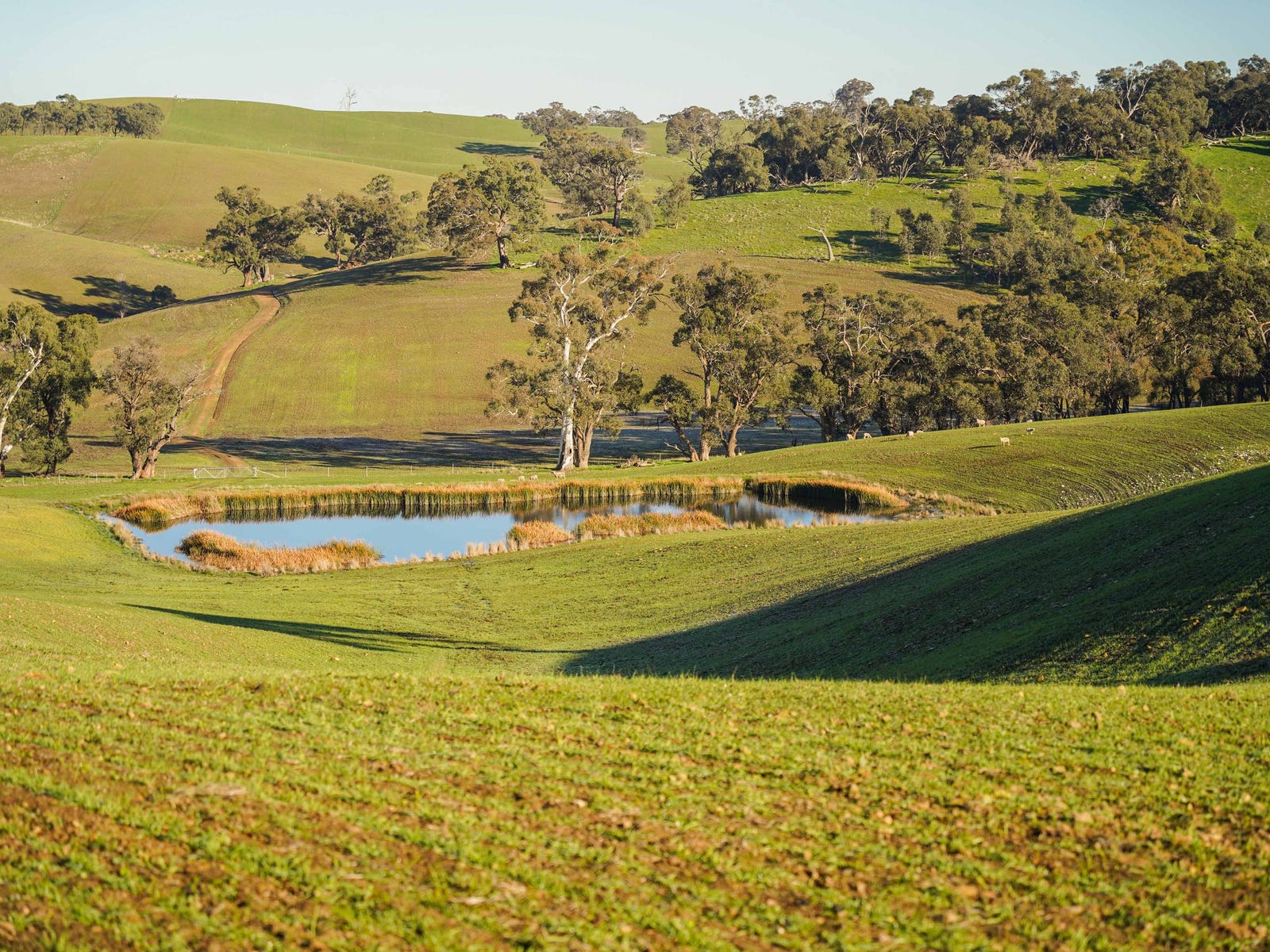 Farm For Sale in Barfold, Vic 3444 | 1469 Heathcote-kyneton Rd